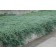 Juniper, Icee Blue® - TheTreeFarm.com